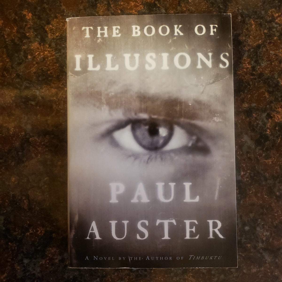 The Book Of Illusions