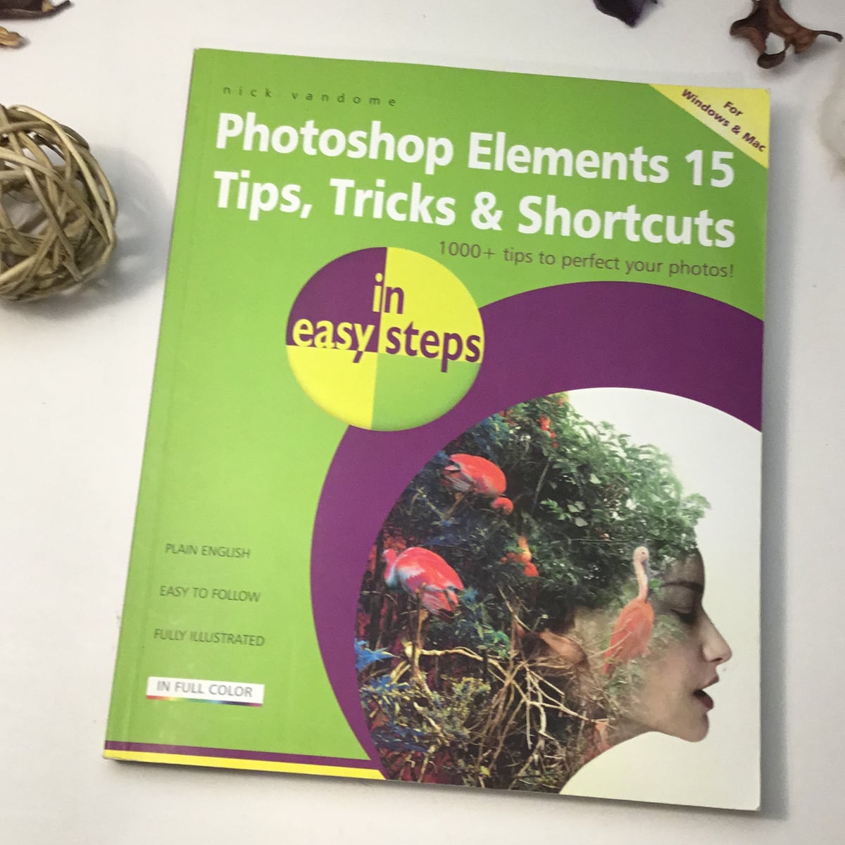 Photoshop Elements 15 Tips Tricks and Shortcuts in Easy Steps by Nick ...