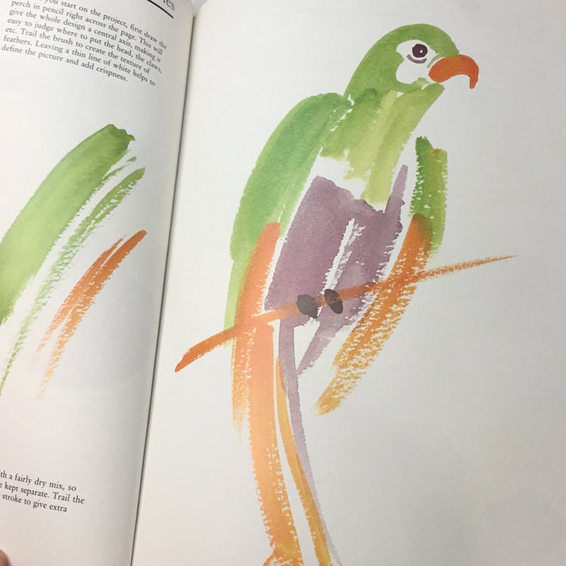 Start Now in Watercolour by Tom Robb