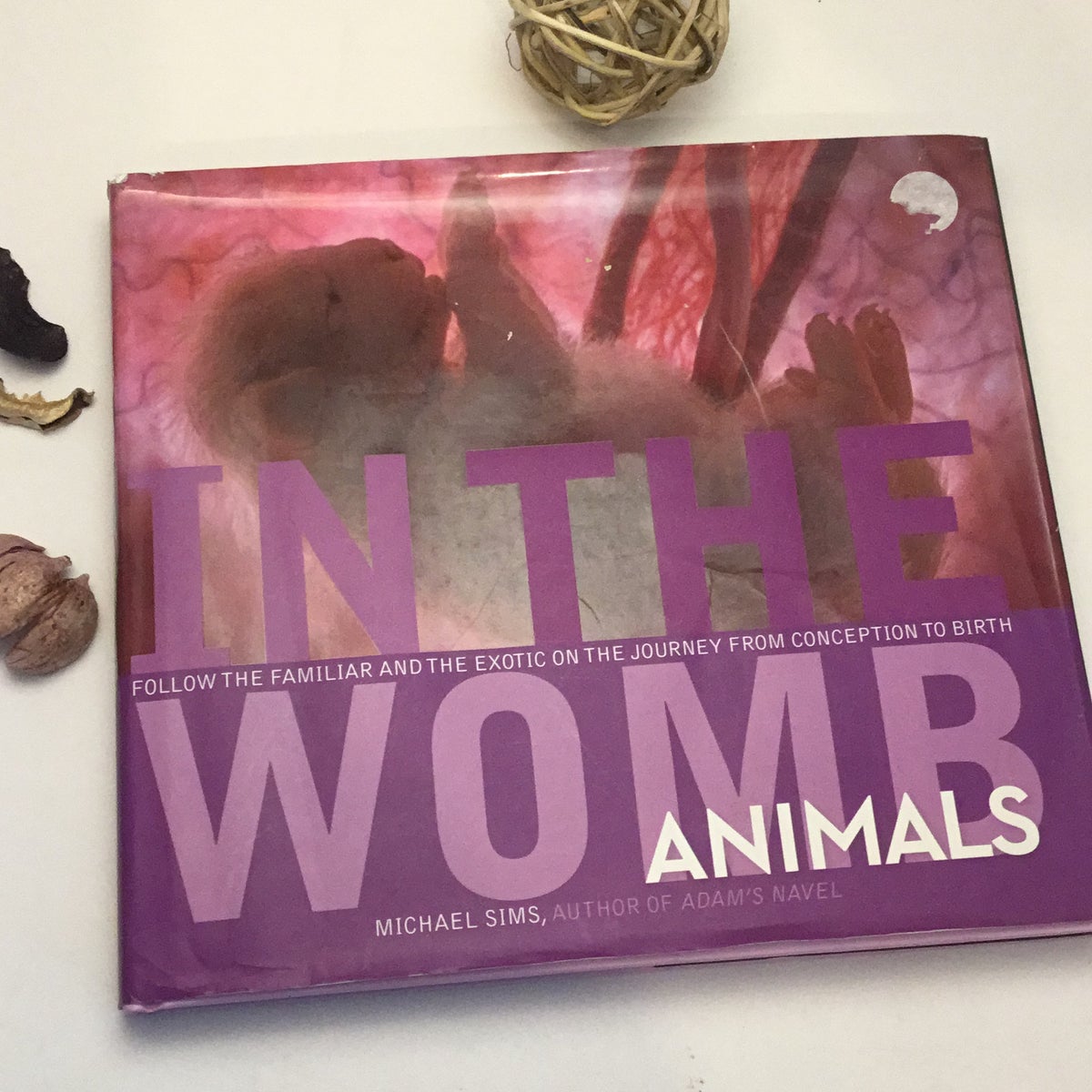In the Womb: Animals by Michael Sims, Hardcover | Pangobooks