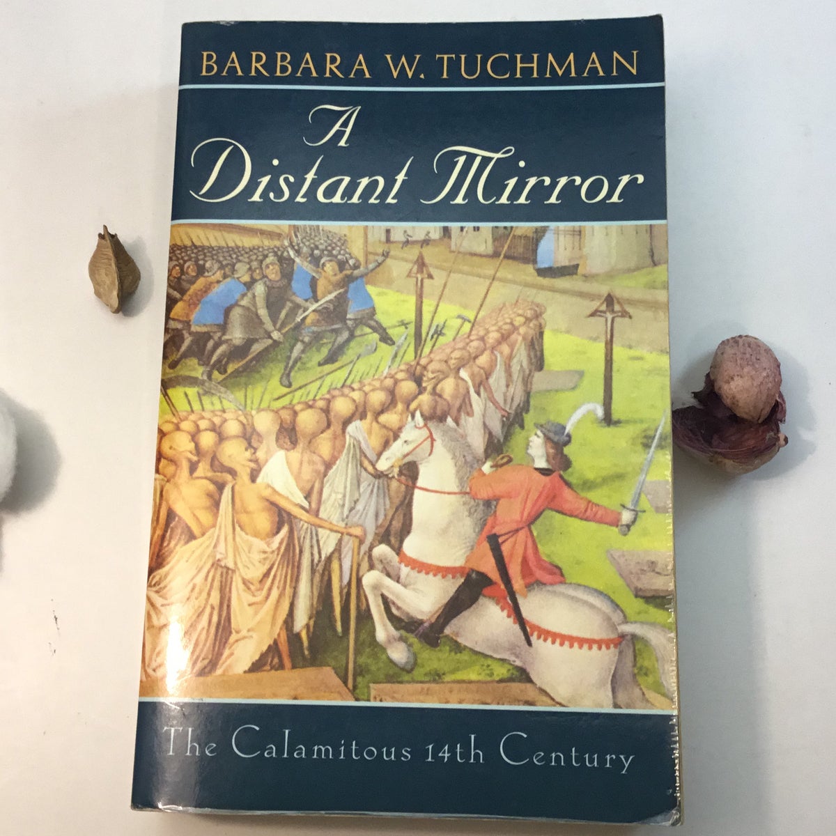 A Distant Mirror by Barbara W. Tuchman