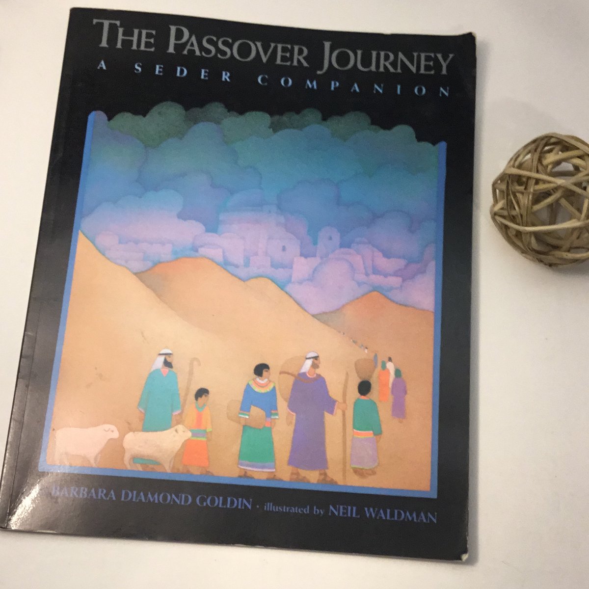 The Passover Journey by Barbara Diamond Goldin