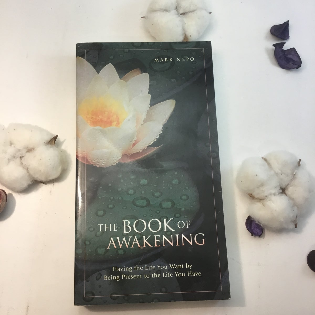 The Book of Awakening