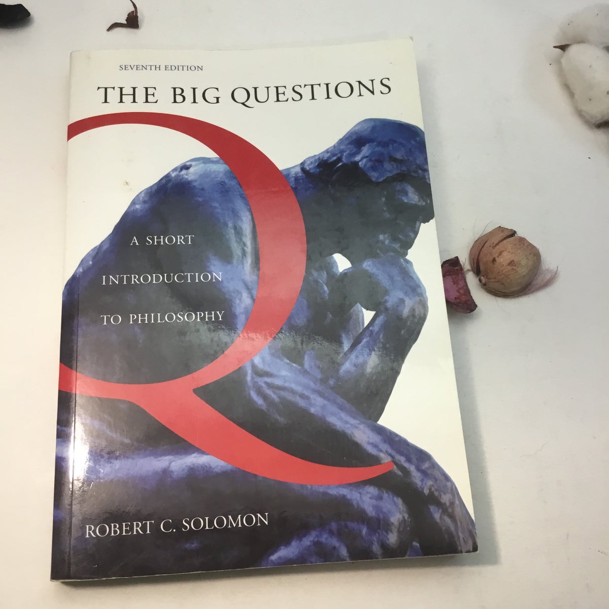 The Big Questions by Robert C. Solomon