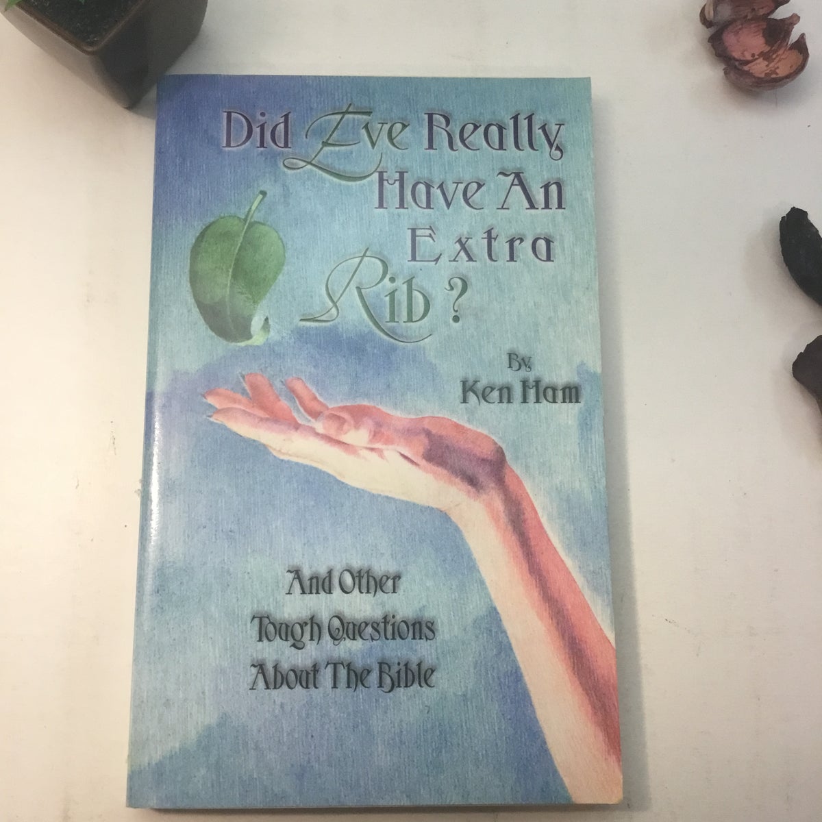 Did Eve Really Have an Extra Rib? by Ken Ham, Paperback | Pangobooks