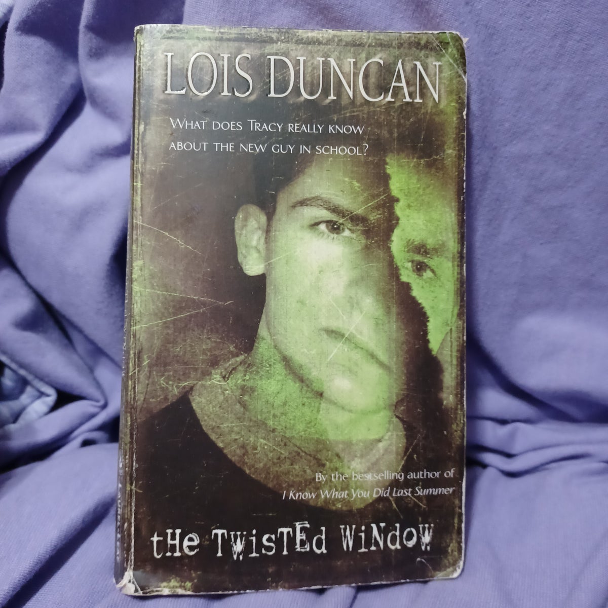 The Twisted Window by Lois Duncan
