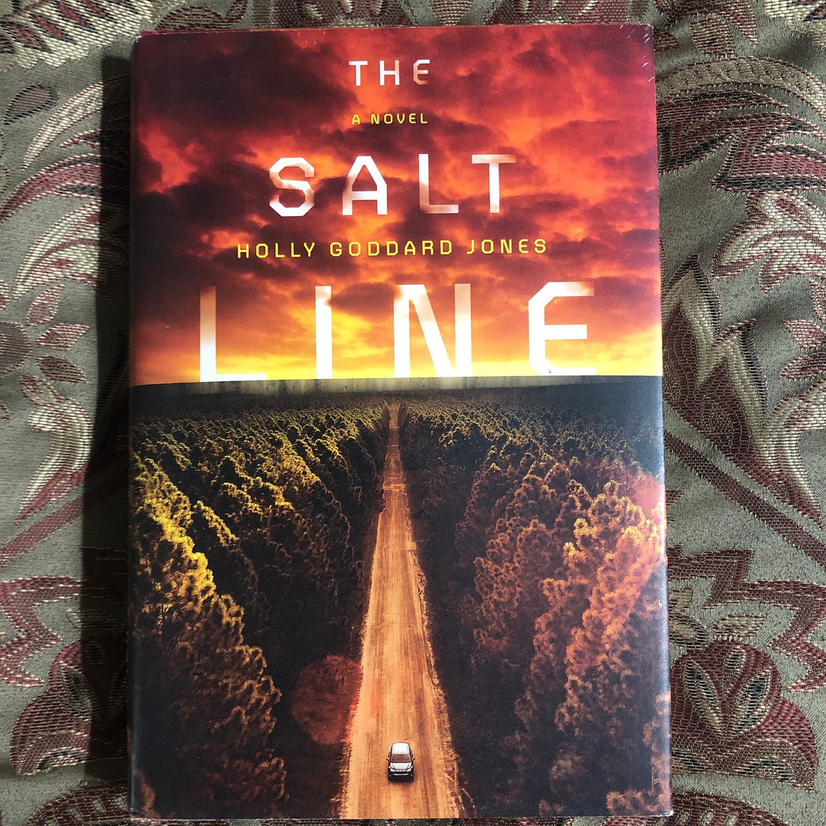 The Salt Line by Holly Goddard Jones
