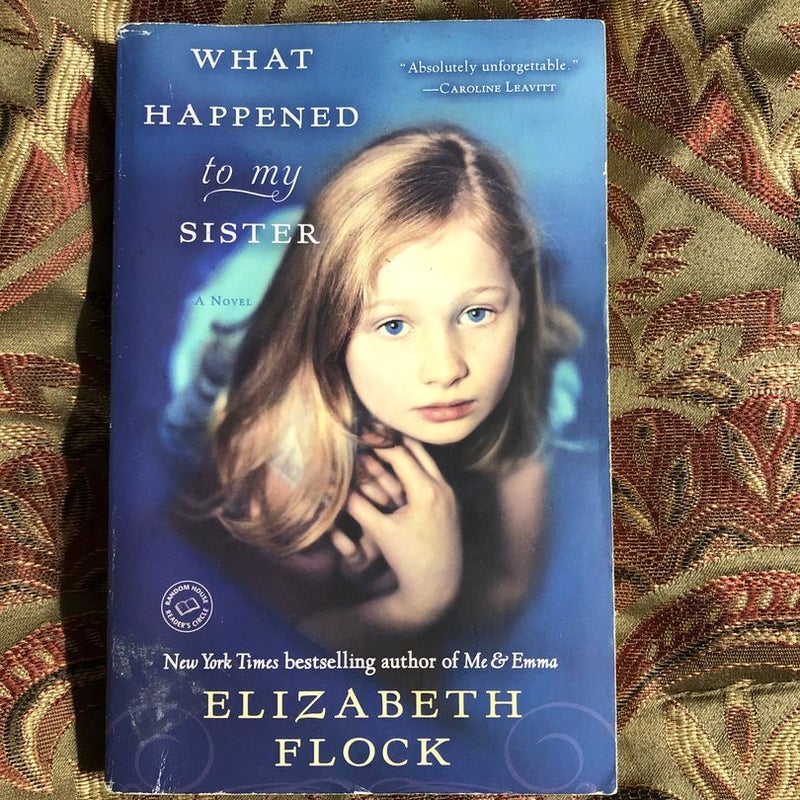 What Happened to My Sister by Elizabeth Flock
