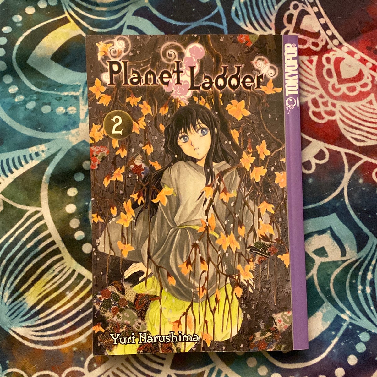 Planet Ladder by Yuri Narushima