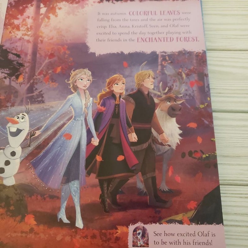 Disney Frozen 2: Elements of Nature by Suzanne Francis, Hardcover ...