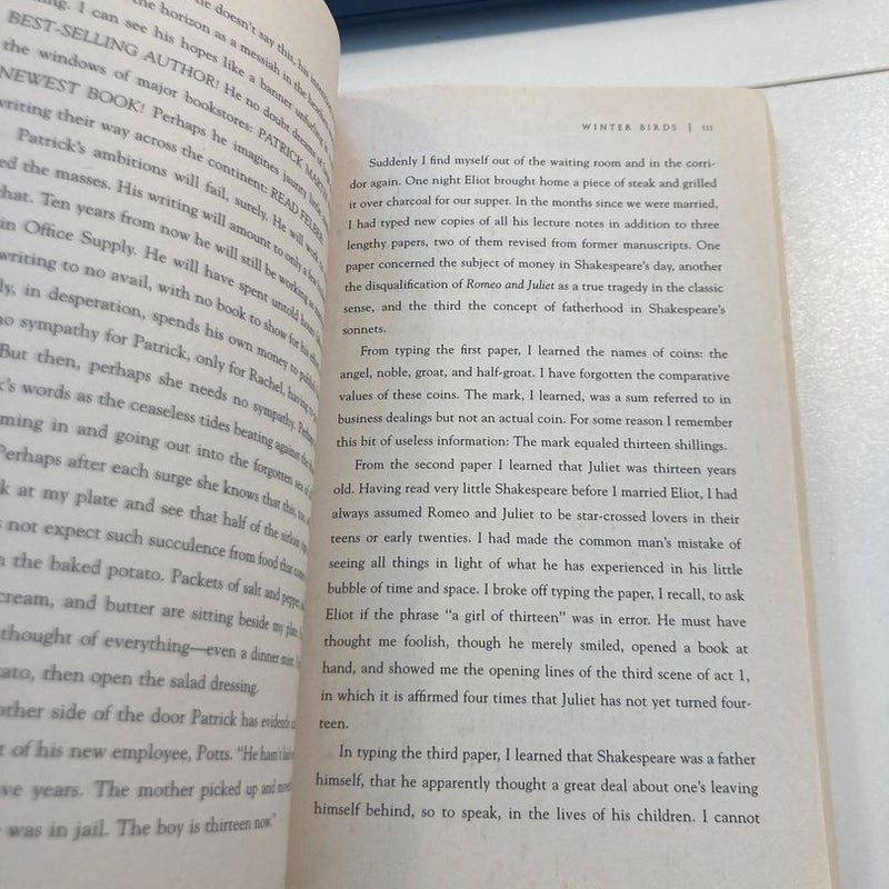 Winter Birds by Jamie Langston Turner