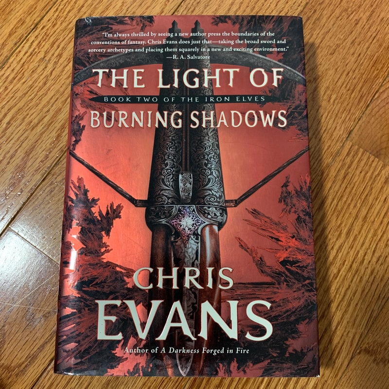 The Light of Burning Shadows by Chris Evans