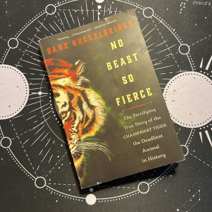 No Beast So Fierce by Dane Huckelbridge