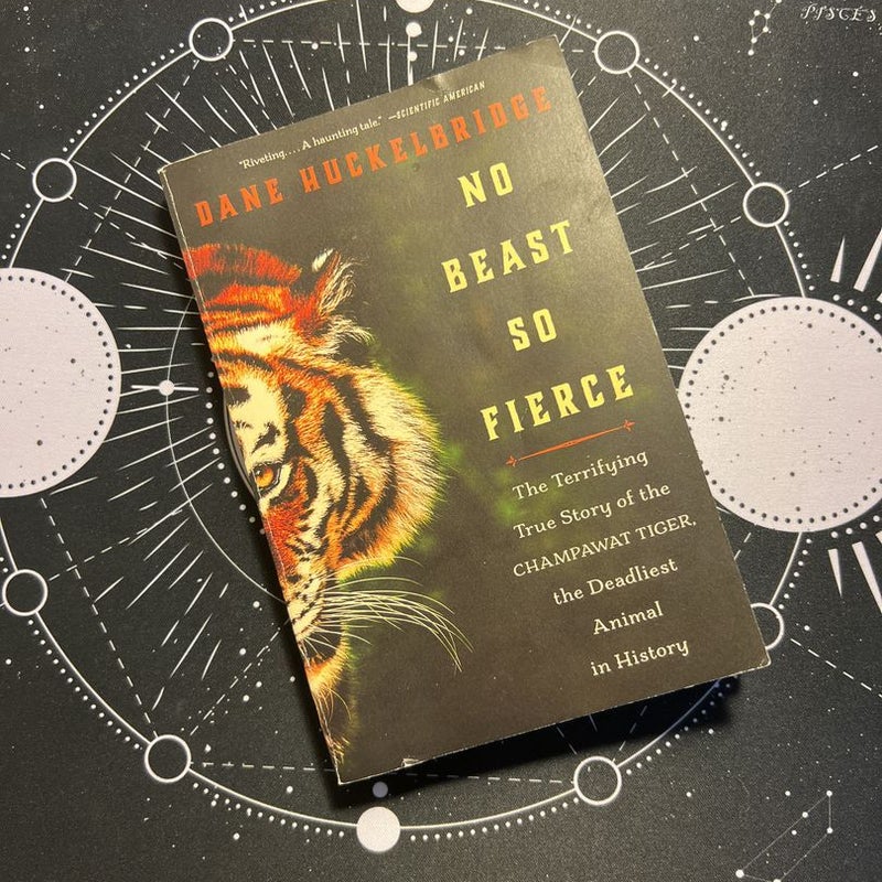 No Beast So Fierce by Dane Huckelbridge