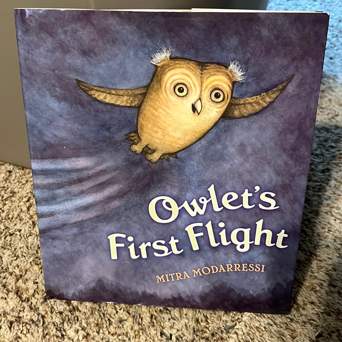 Owlet's First Flight by Mitra Modarressi