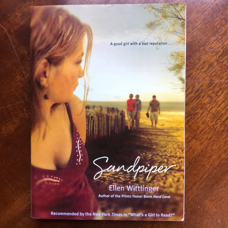 Sandpiper by Ellen Wittlinger, Paperback | Pangobooks