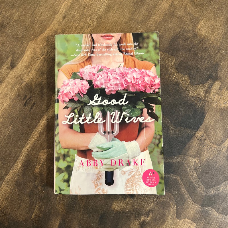 Good Little Wives by Abby Drake, Paperback | Pango Books