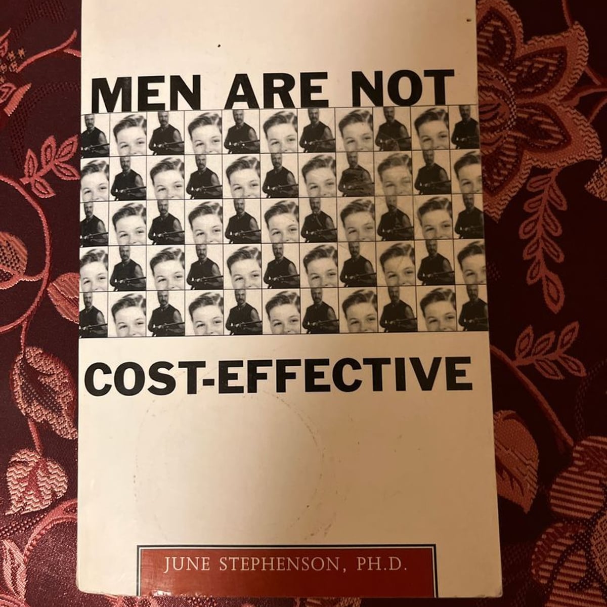 Men Are Not Cost-Effective by June Stephenson