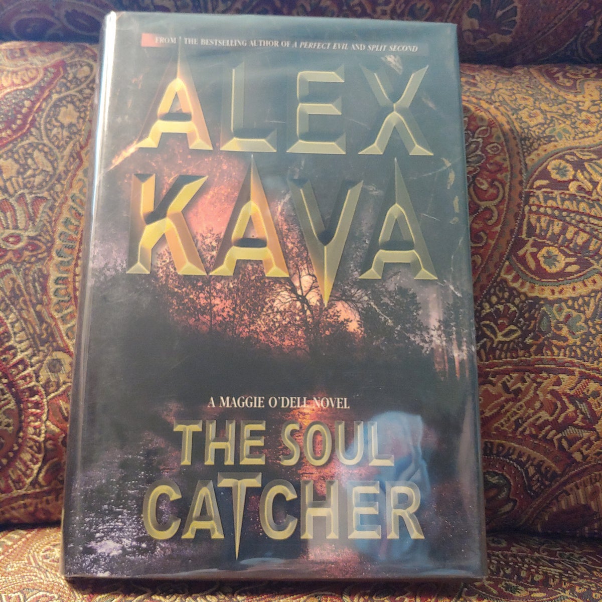 The Soul Catcher by Alex Kava, Hardcover | Pangobooks