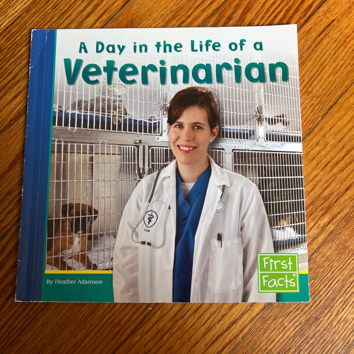 A Day in the Life of a Veterinarian by Heather Adamson