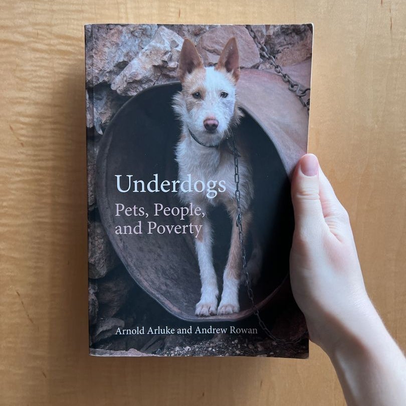 Underdogs by Arnold Arluke, Andrew Rowan