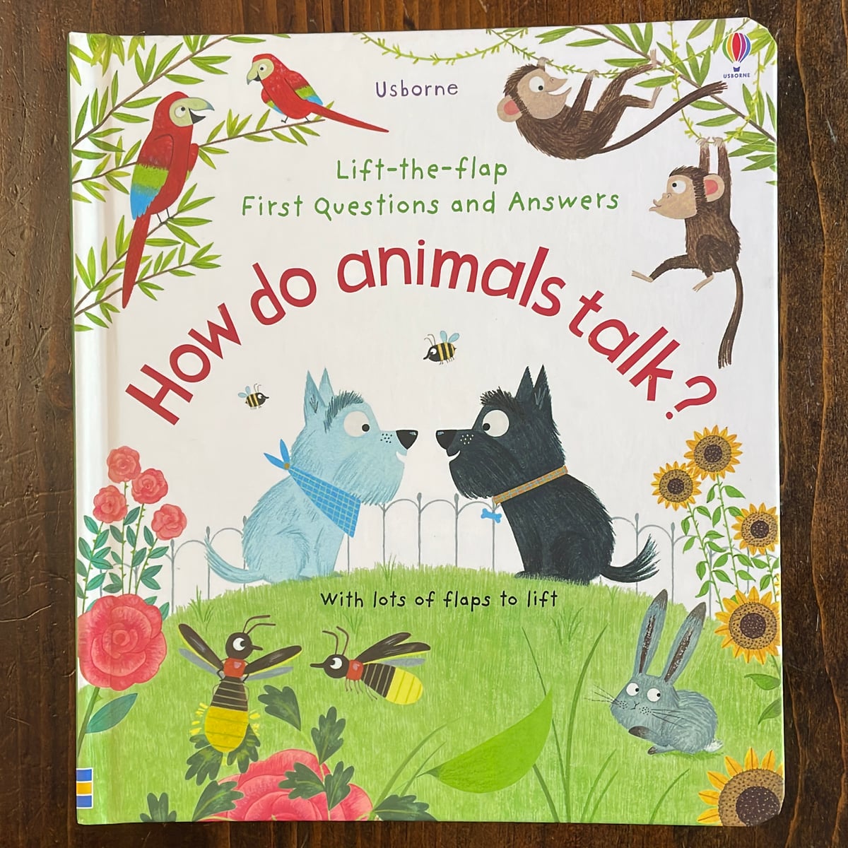 Lift-The-Flap First Questions and Answers by Katie Daynes