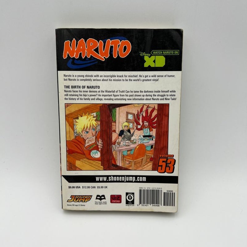Naruto, Vol. 53