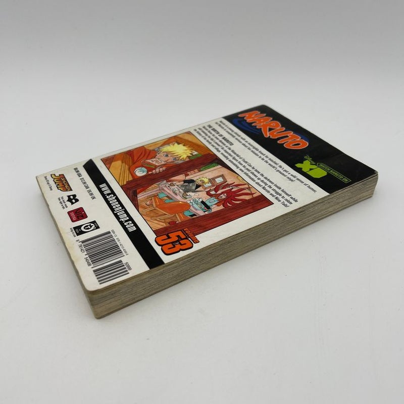 Naruto, Vol. 53