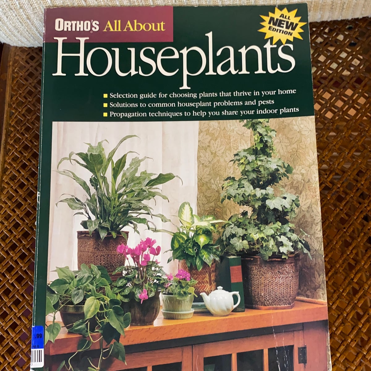 All about Houseplants by Susan Lammers, Paperback | Pangobooks