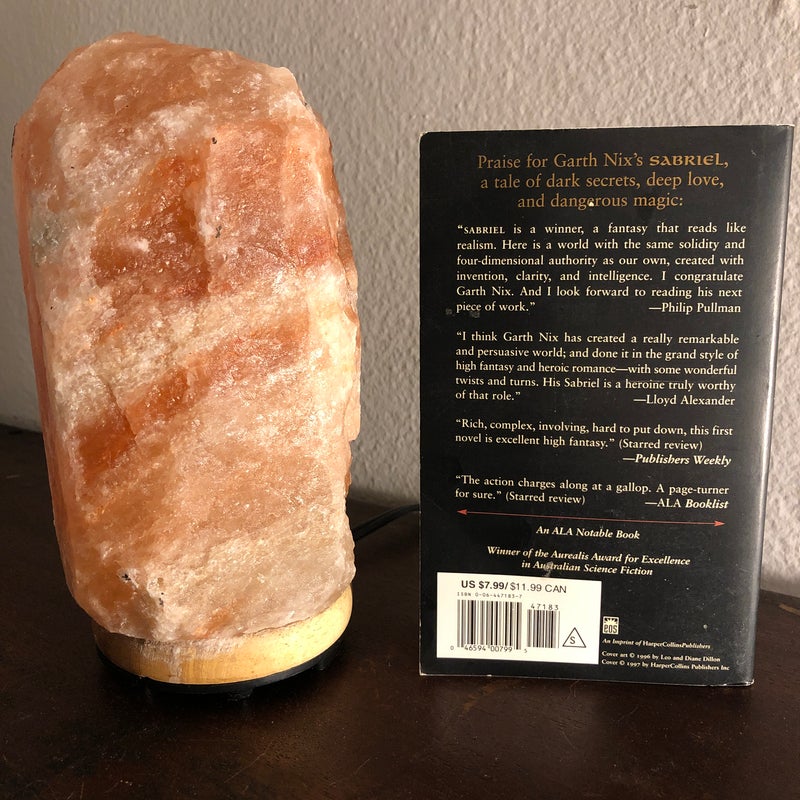 Sabriel by Garth Nix, Paperback | Pangobooks