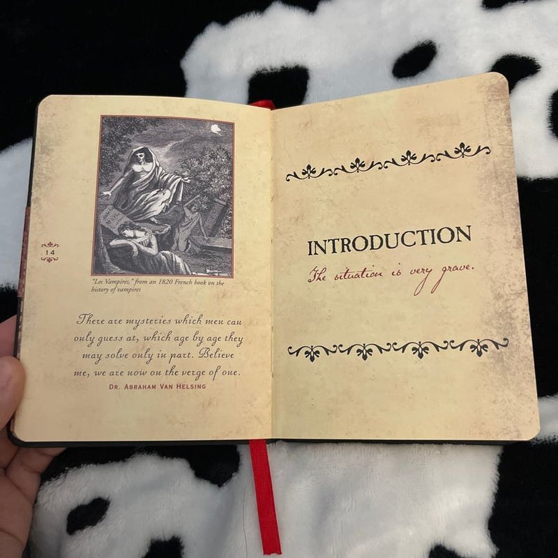 Vampires, Werewolves, Zombies by Margaret Rubiano, Hardcover | Pangobooks