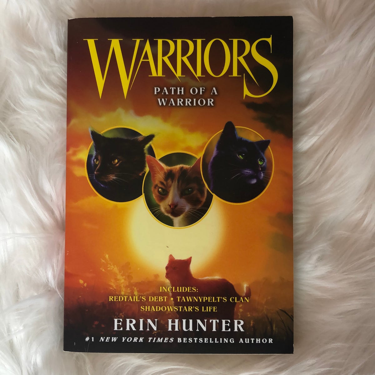 Warriors: Path of a Warrior by Erin Hunter