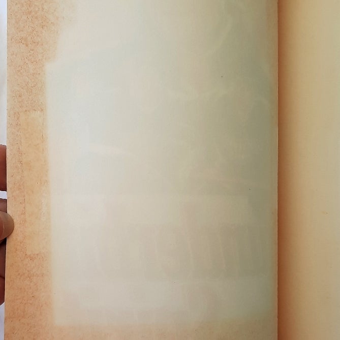 Thunderbird Spirit by Sigmund Brouwer, Paperback | Pangobooks