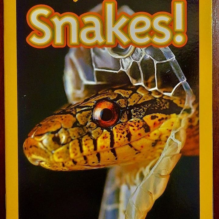 Snakes! National Geographic Kids by Melissa Stewart, Paperback | Pangobooks