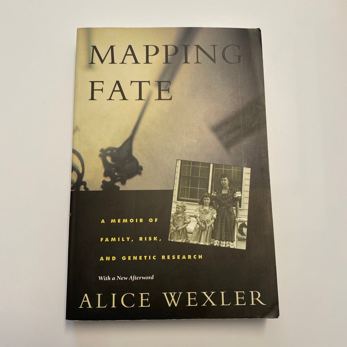 Mapping Fate by Alice Wexler