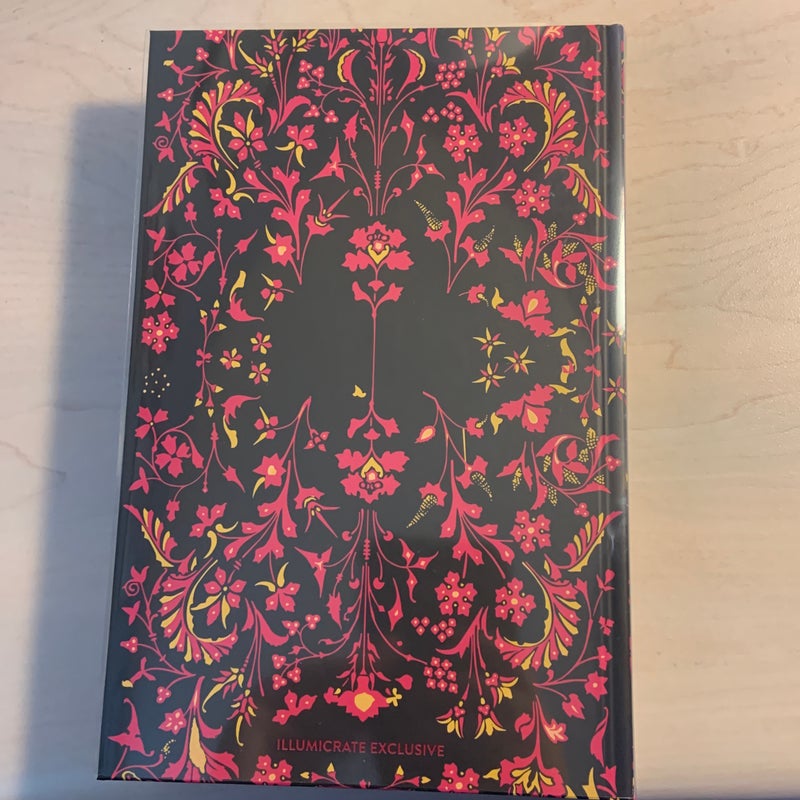 A Marvellous Light Illumicrate edition by Freya Marske, Hardcover ...