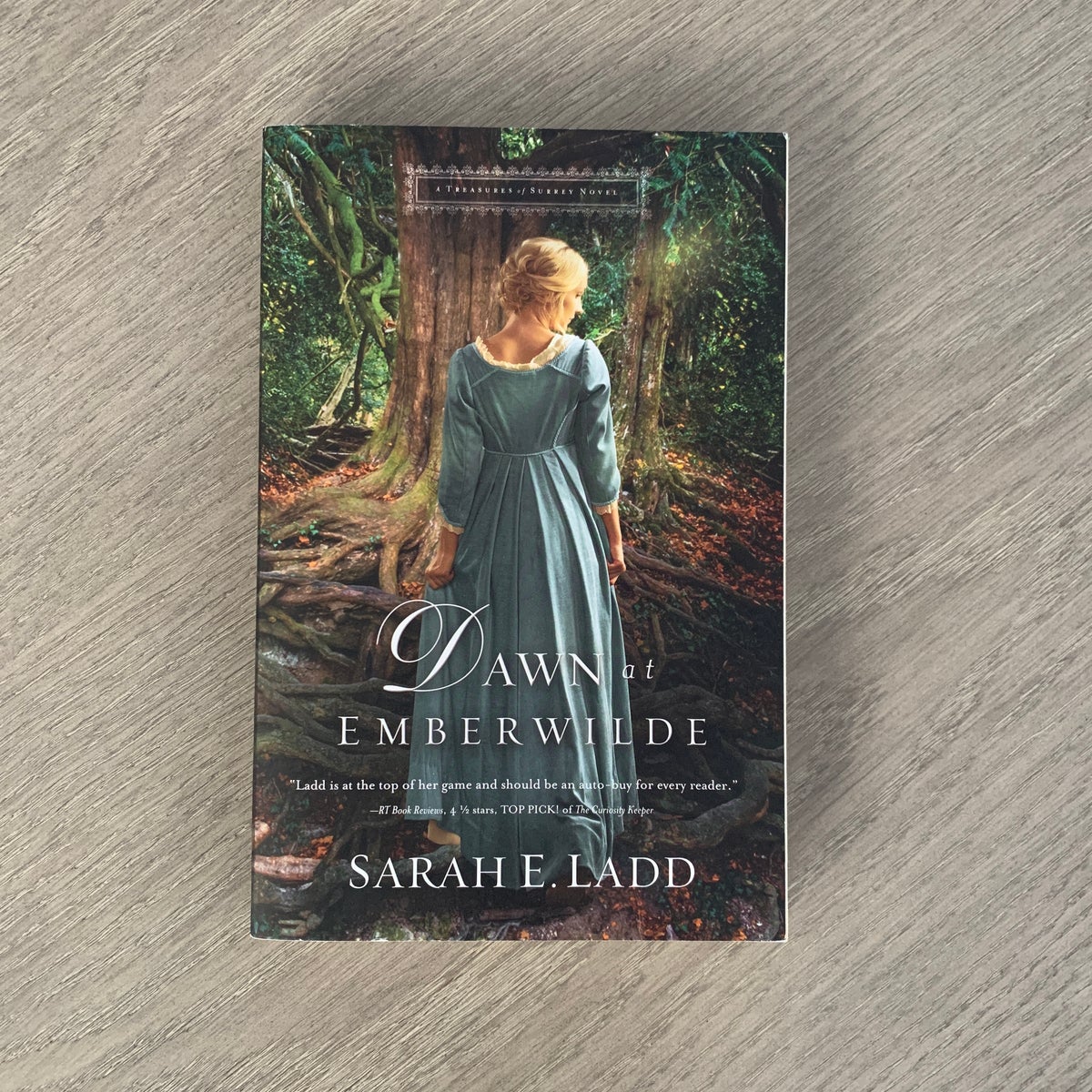 Dawn at Emberwilde by Sarah E. Ladd