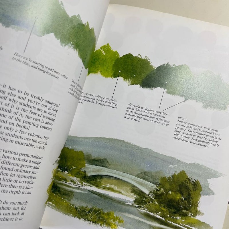 Big Brush Watercolor by Ron Ranson, Paperback | Pangobooks