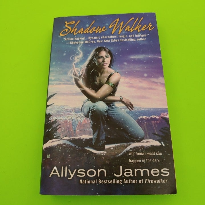 Shadow Walker by Allyson James