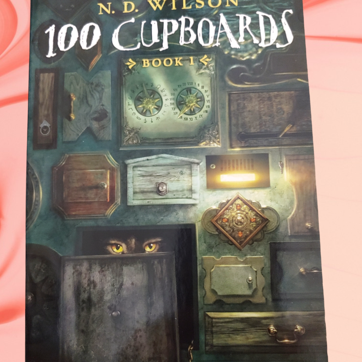 100 Cupboards (100 Cupboards Book 1) by N. D. Wilson