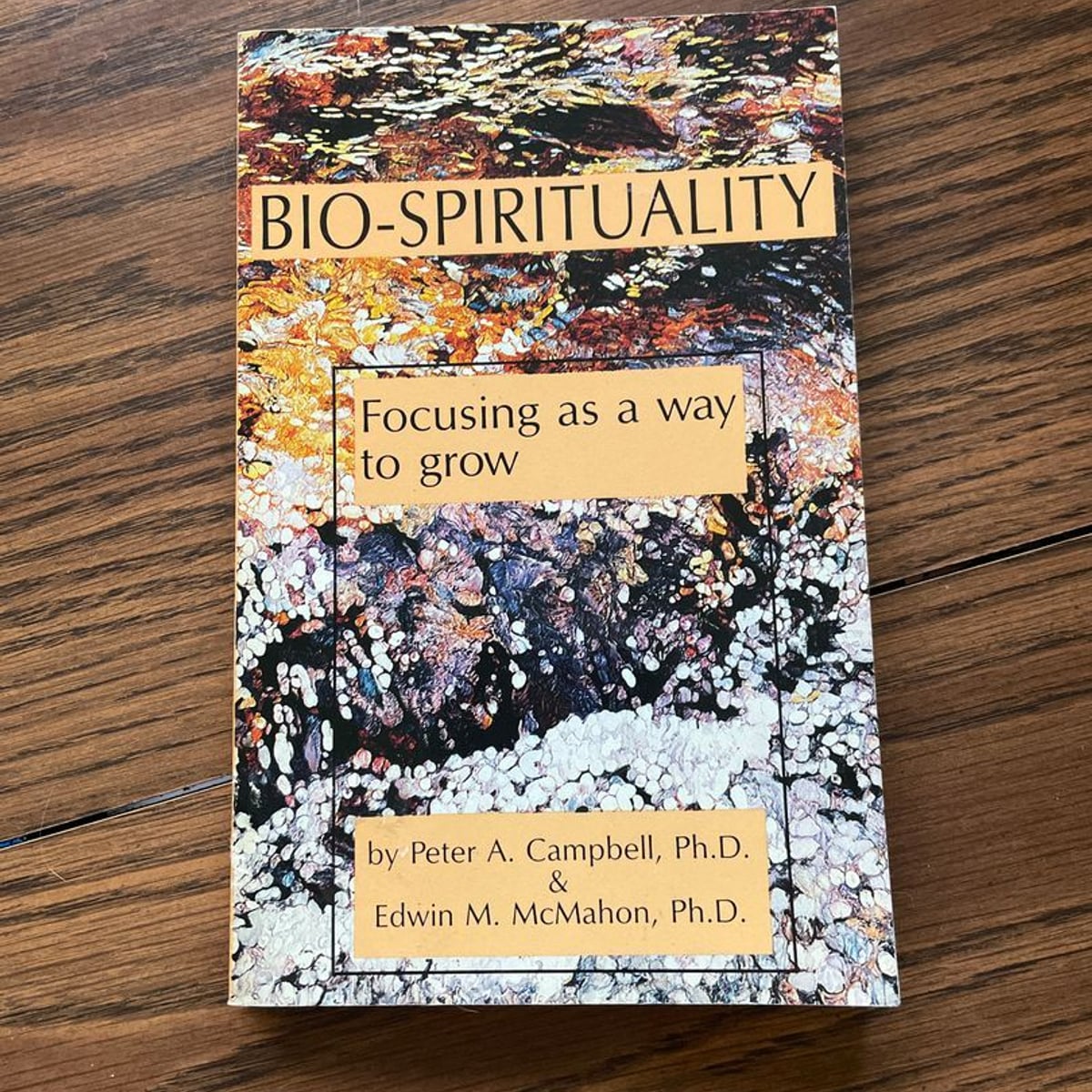 Bio-Spirituality by Peter A. Campbell; Edwin M. McMahon, Paperback ...