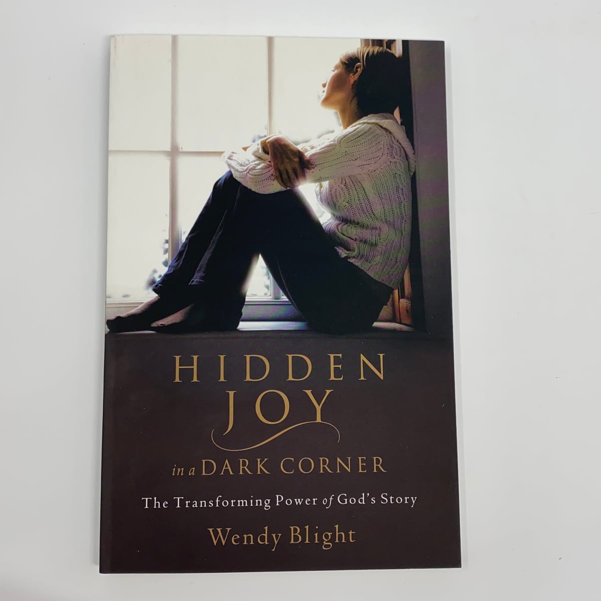 Hidden Joy in a Dark Corner by Wendy Blight