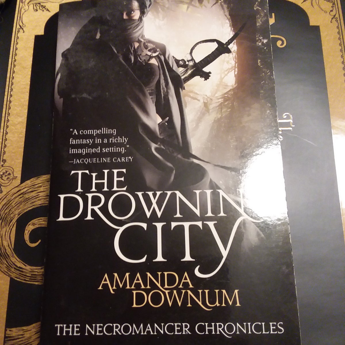The Drowning City by Amanda Downum