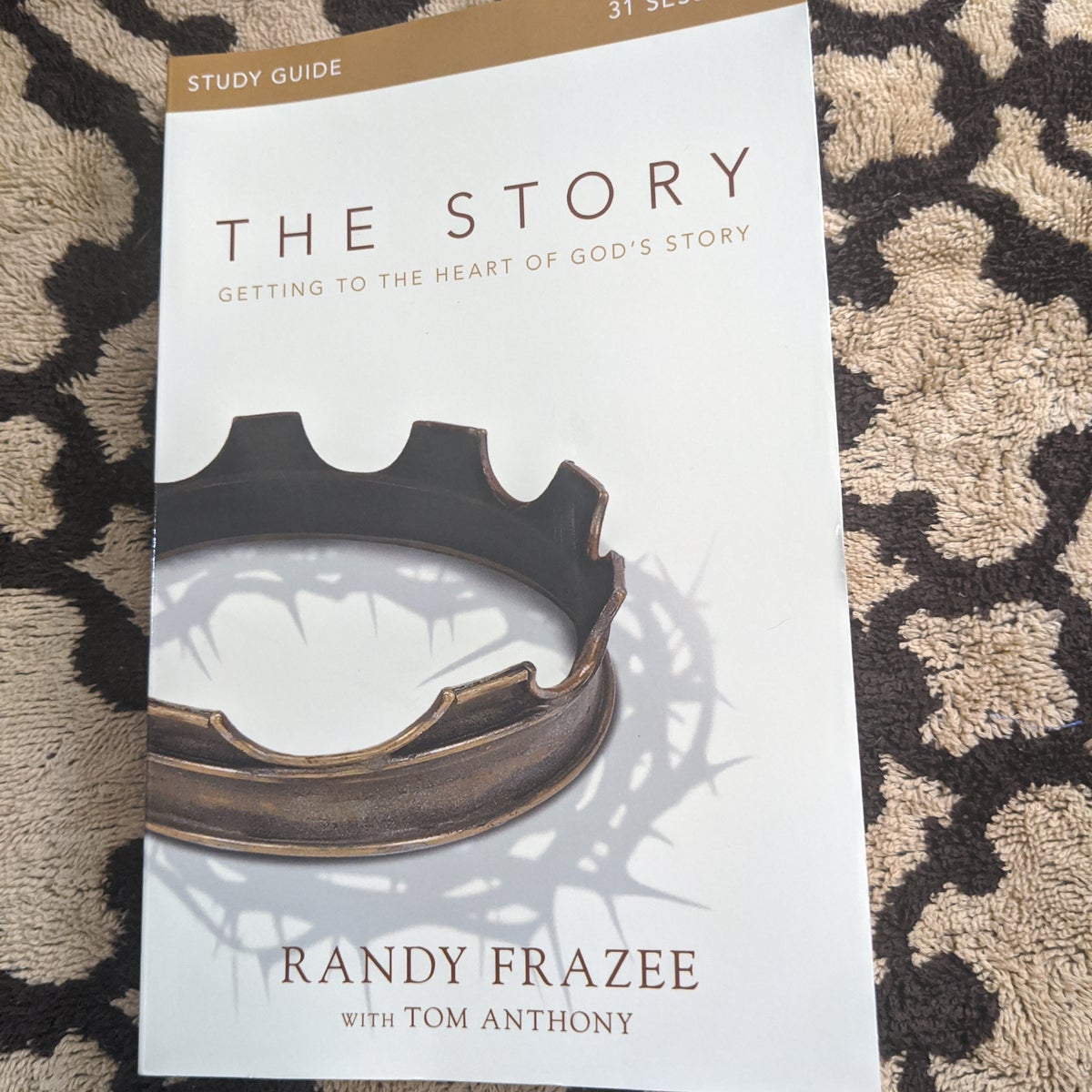 The Story Study Guide by Randy Frazee, Paperback | Pangobooks