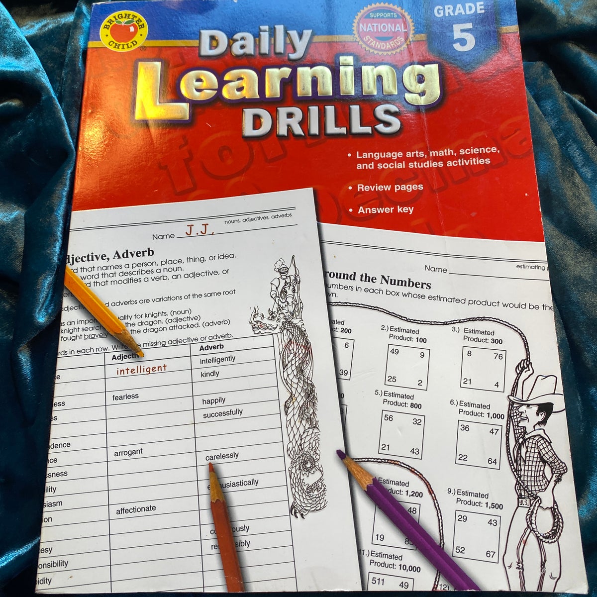 Daily Learning Drills, Grade 5 by Vincent Douglas