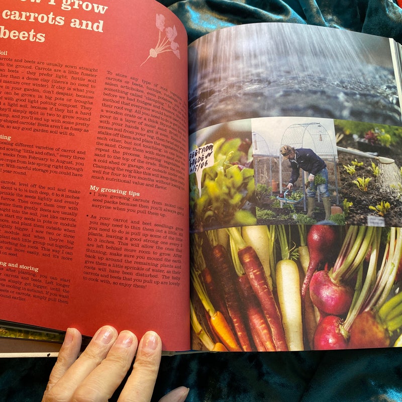 Jamie at Home by Jamie Oliver, Hardcover | Pangobooks