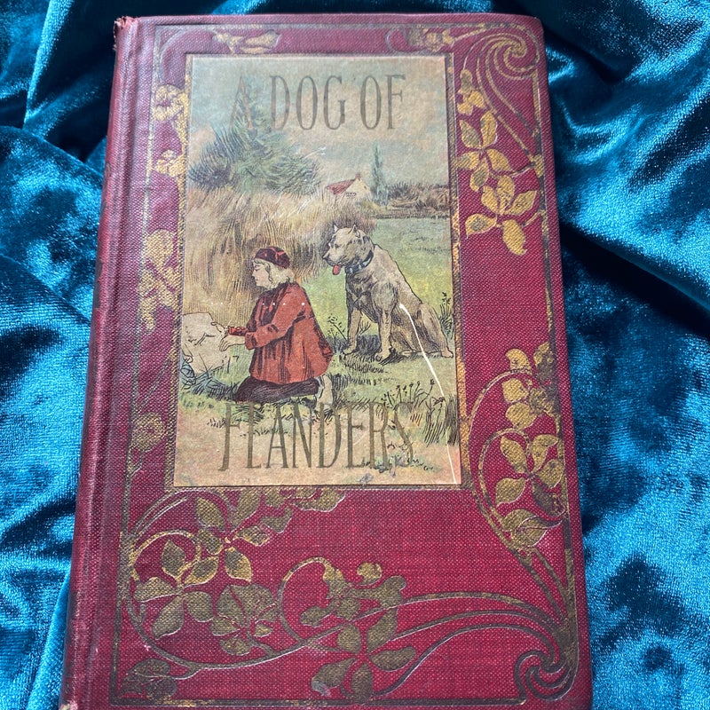 A dog of Flanders by Outba, Hardcover | Pangobooks