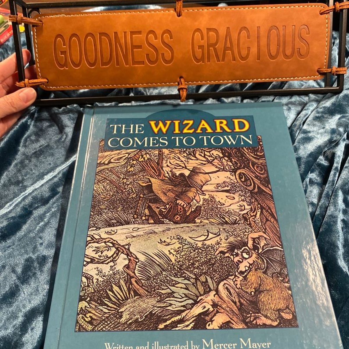 The Wizard Comes to Town by Mercer Mayer