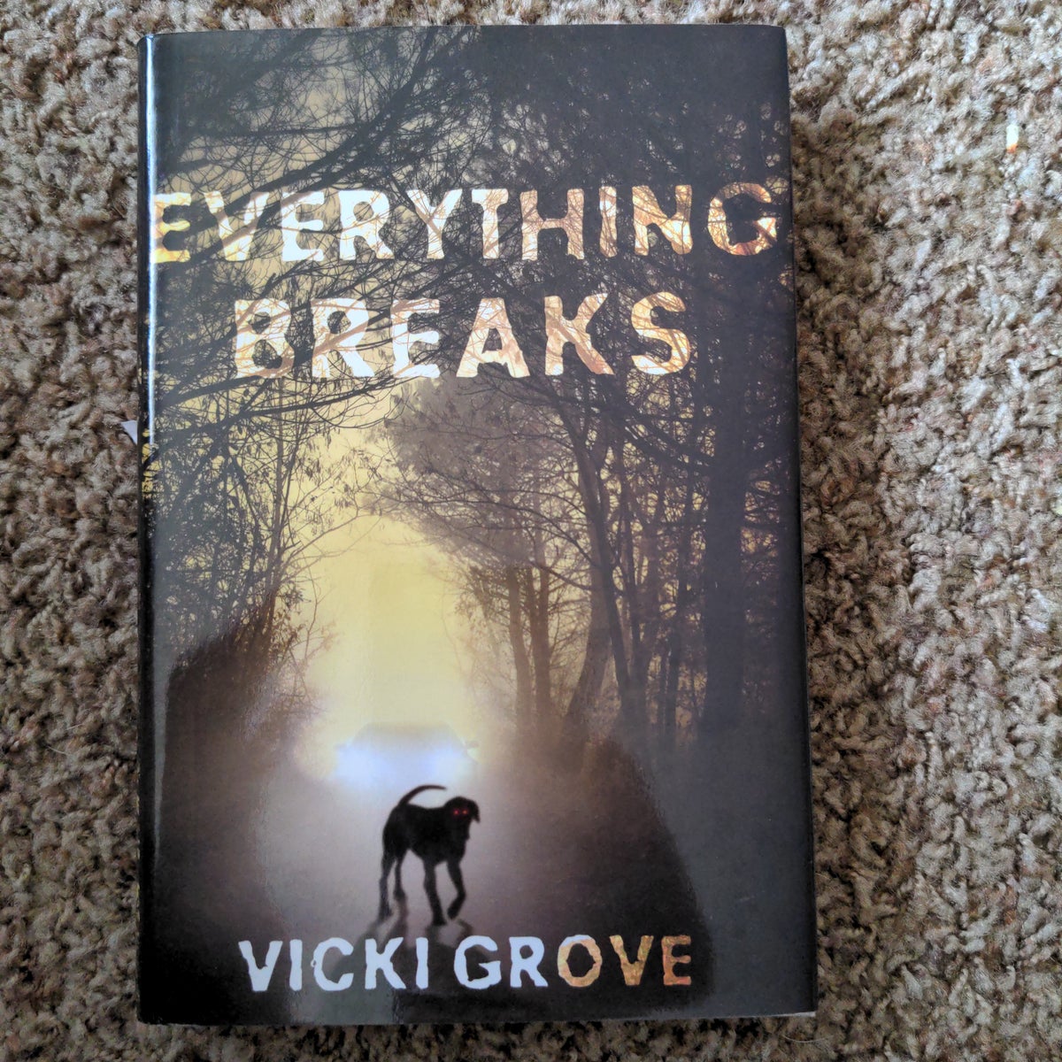 Everything Breaks by Vicki Grove