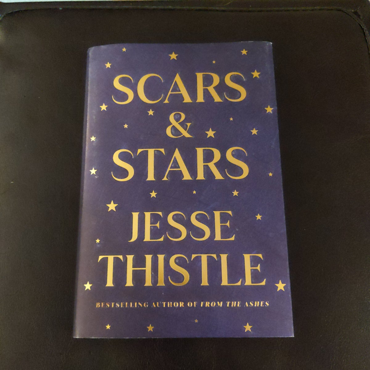 Scars and Stars by Jesse Thistle